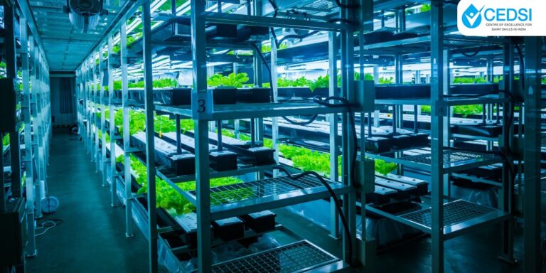 Hydroponics Fodder: For Sustainable Dairy Farming